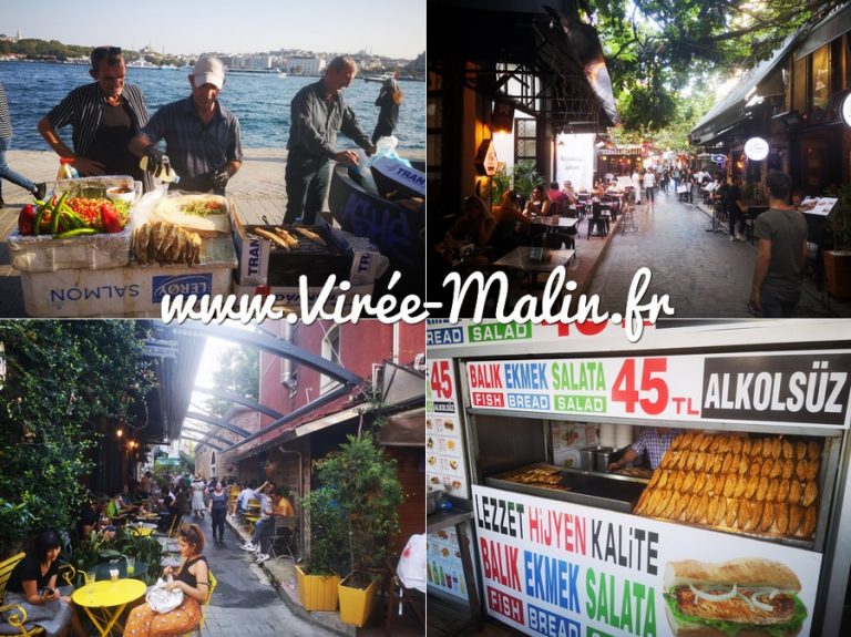 Que visiter à Istanbul ? Que faire à Istanbul ? Virée-Malin.fr