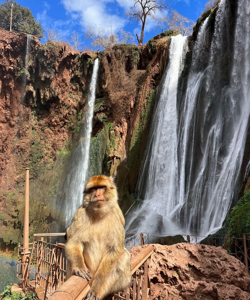 Excursion à la journée depuis Marrakech - Virée-Malin.fr